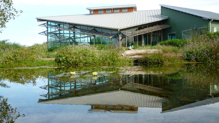 recreation | Experience Edinburg